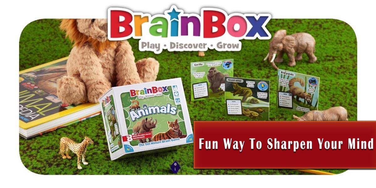 BrainBox: Making Learning an Enjoyable Game for All Ages - Intellectfolks